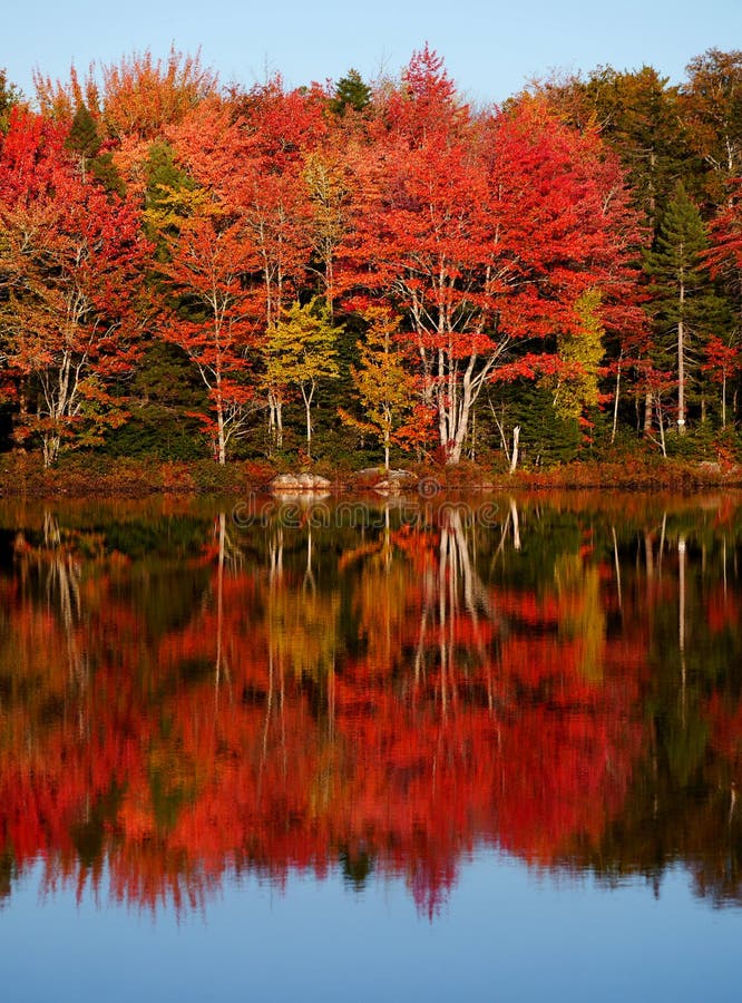 Bright Autumn Trees Reflected in a Lake Stock Image - Image of autumn ...