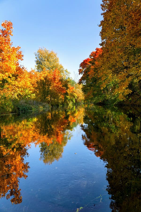 Bright Autumn Trees with Their Reflection in Water Stock Photo - Image ...