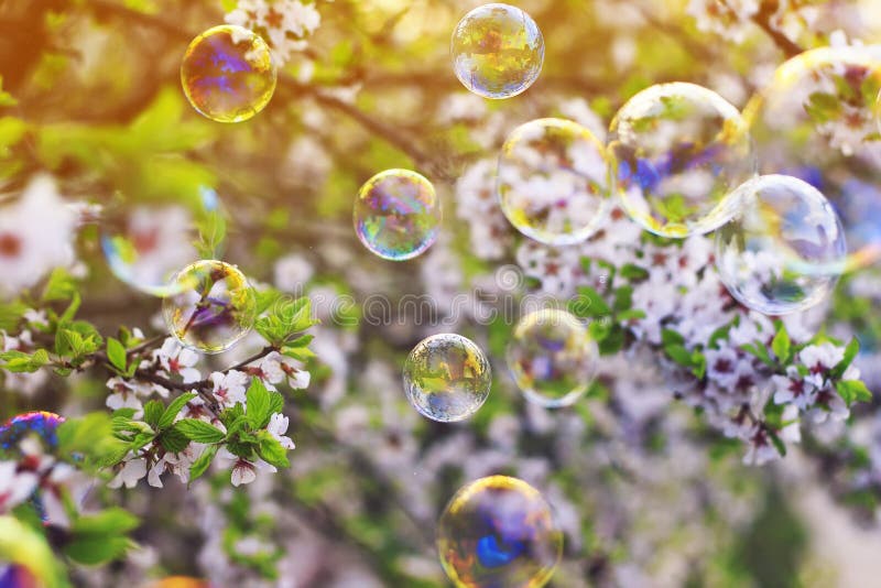 Bright Background with Flying Shiny Soap Bubbles Over the Sprin Stock ...