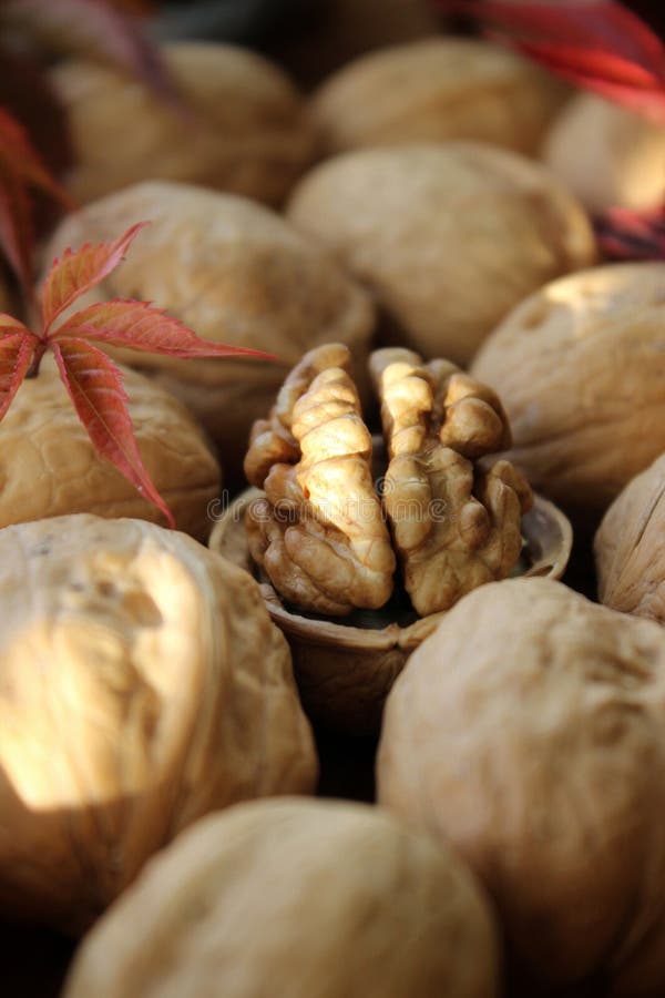 Bright Background. Walnuts on a Wooden Table, Beautiful Walnut Texture ...