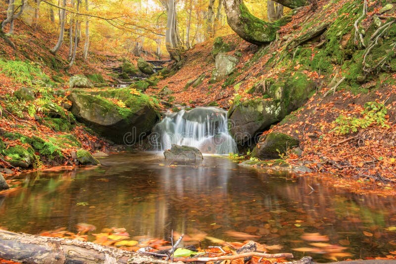 A Bright Beautiful Autumn in the Forest. a River with a Waterfall ...