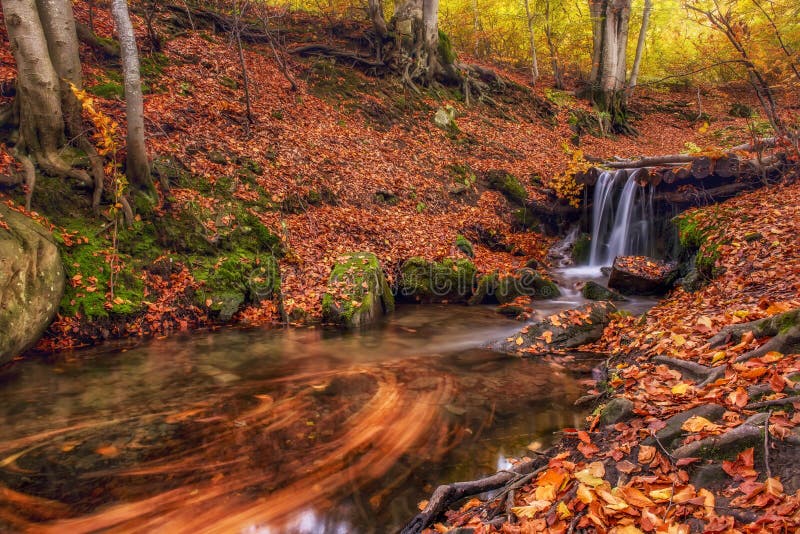 A Bright Beautiful Autumn in the Forest. a River with a Waterfall ...