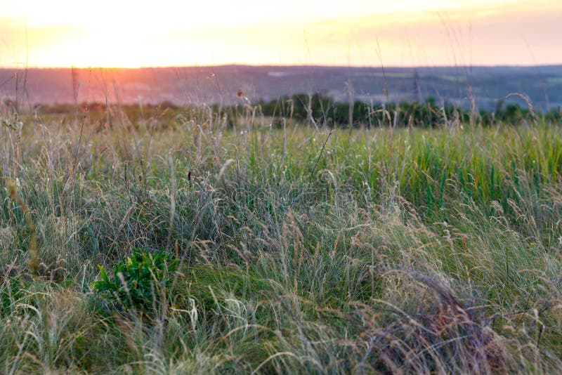 Bright Beautiful Sunny Sunset Over the Meadow. Stock Photo - Image of ...