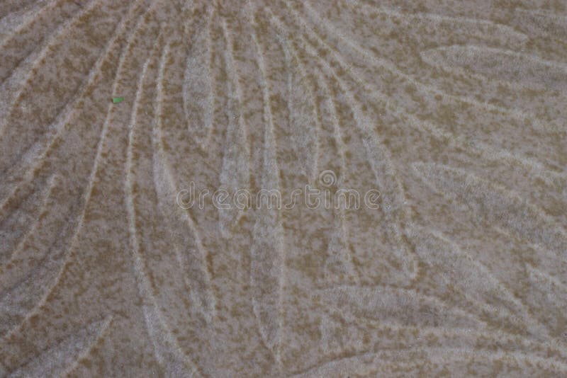 Bright Beige Texture with a Pattern. Background with Copy Space Stock ...