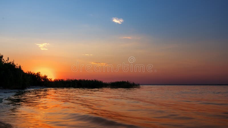 Wilderness Sunset on the Background of a Cane Stock Image - Image of ...