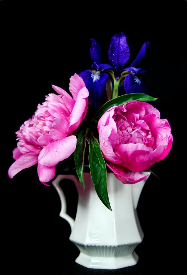 Bright on Black stock image. Image of fragrant, antique - 5397463