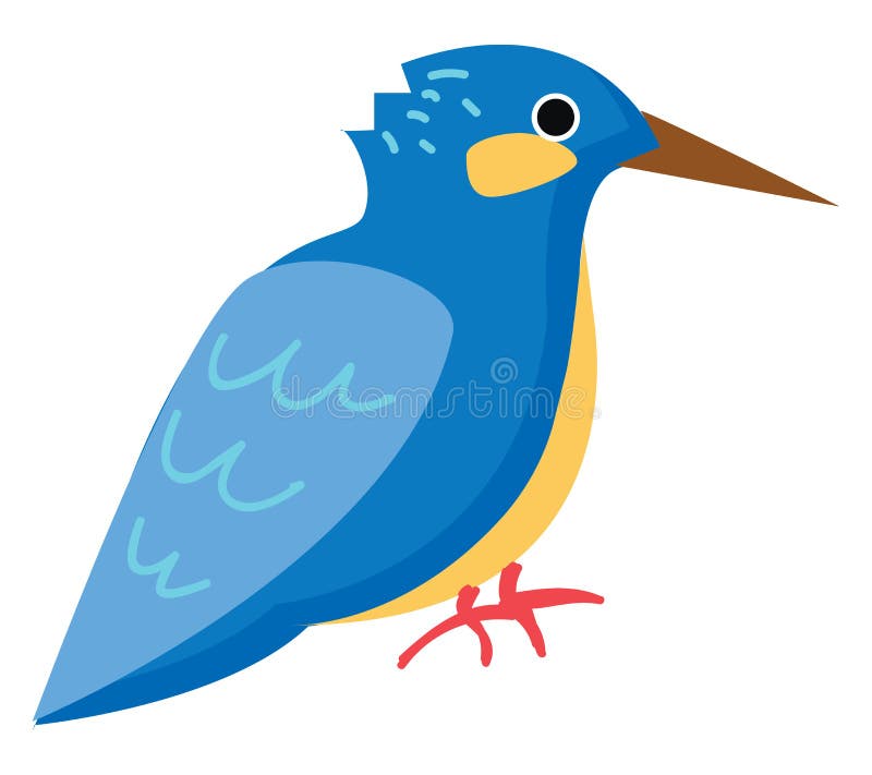 A Bright Blue Bird with Long Sharp Bill Vector Color Drawing or ...