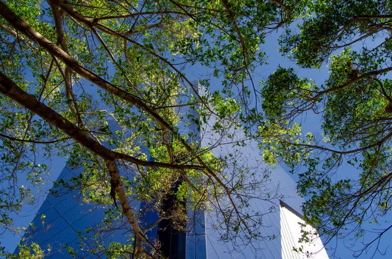 Bright Blue City Buildings with Clouds Stock Image - Image of ...