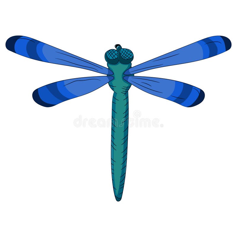 Bright Blue Dragonfly. Child S Drawing. Vector Illustration. Hand-drawn ...