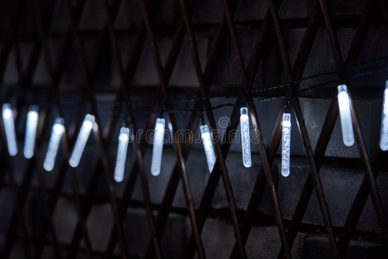 Bright Blue Lights Hanging in the Night Garden Stock Photo - Image of ...