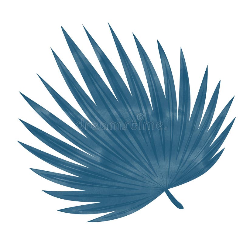 A Bright Blue Palm Leaf for Your Logo, for Your Designs Stock Image ...