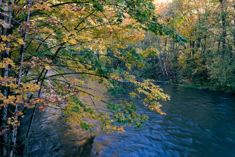 Blue river in autum stock photo. Image of leaf, gold - 106792756
