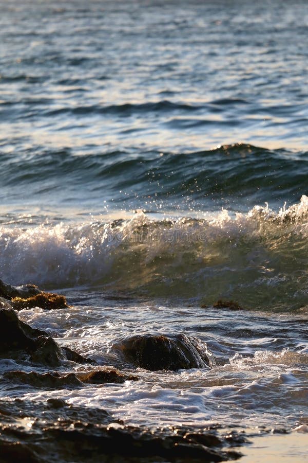 Sea Surface stock image. Image of shallow, surface, detail - 309027701