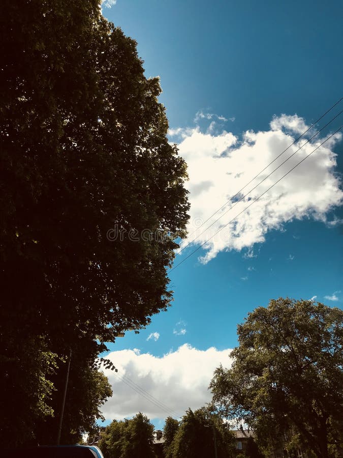 Afternoon Sky with Clouds in Spring Stock Photo - Image of tree, blue ...