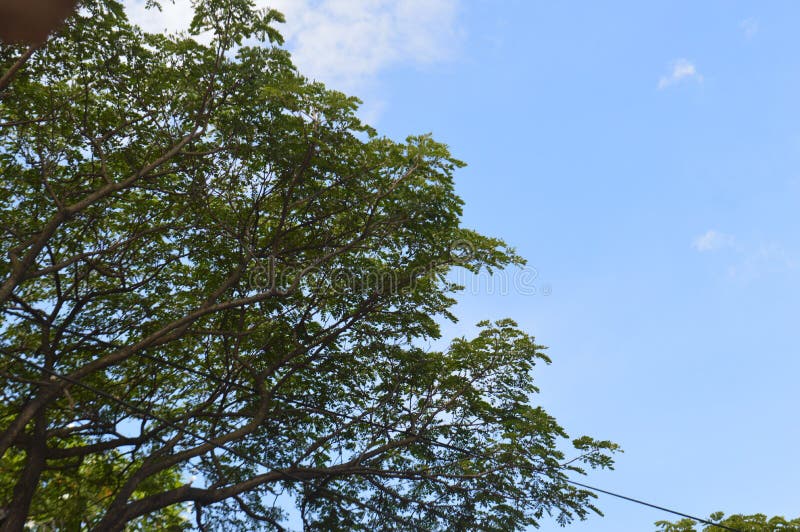 Bright Blue Sky Background with Negative Space or Empty Space Decorated ...