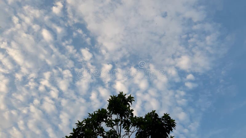 A Bright Blue Sky with Clouds Floating Above the Trees Stock Photo ...