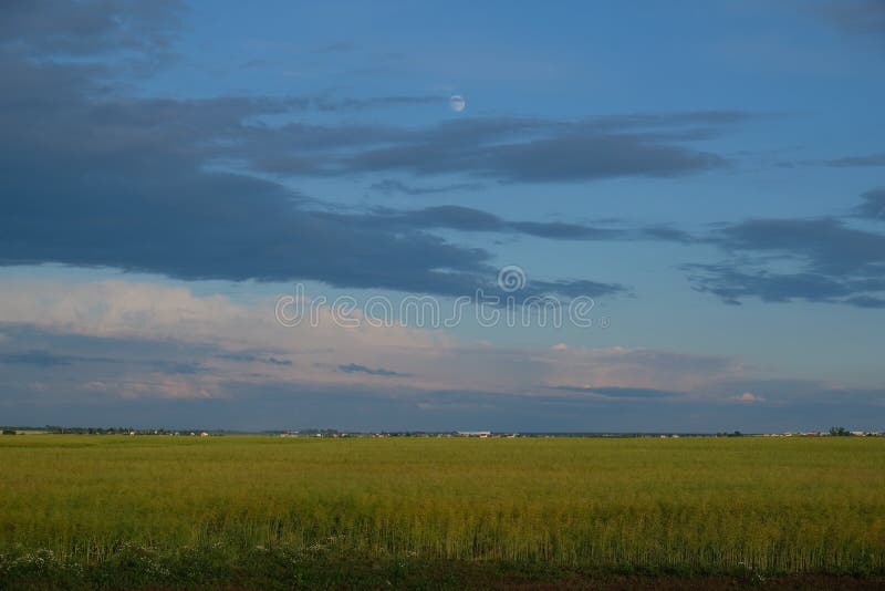Bright Blue Sky with Moon Over Green Field. Stock Photo - Image of ...