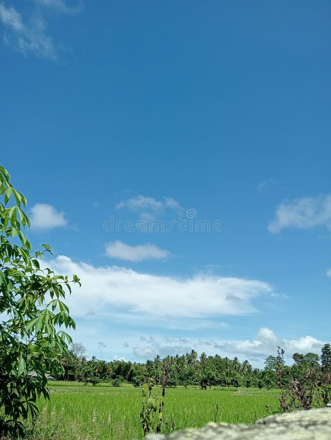 Bright blue sky at noon. stock photo. Image of noon - 355349988