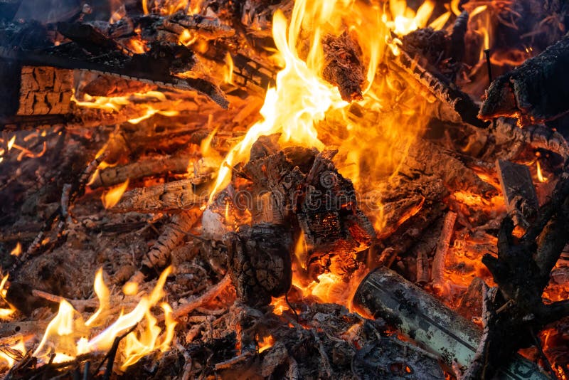 Bright Bonfire Close-up. Forest Fire Concept. Stock Image - Image of ...