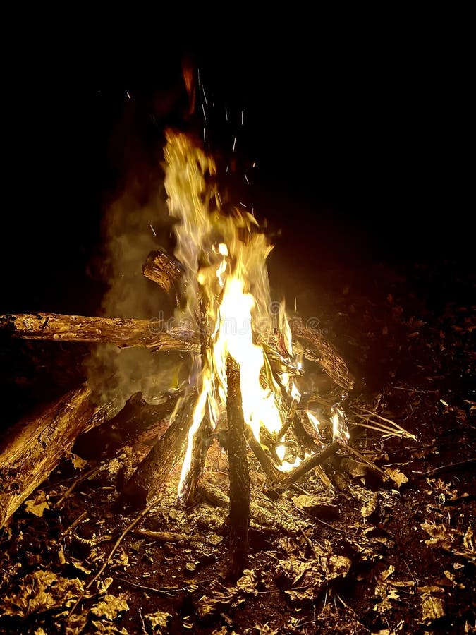 Bright Campfire in the Night Stock Image - Image of event, yellow ...