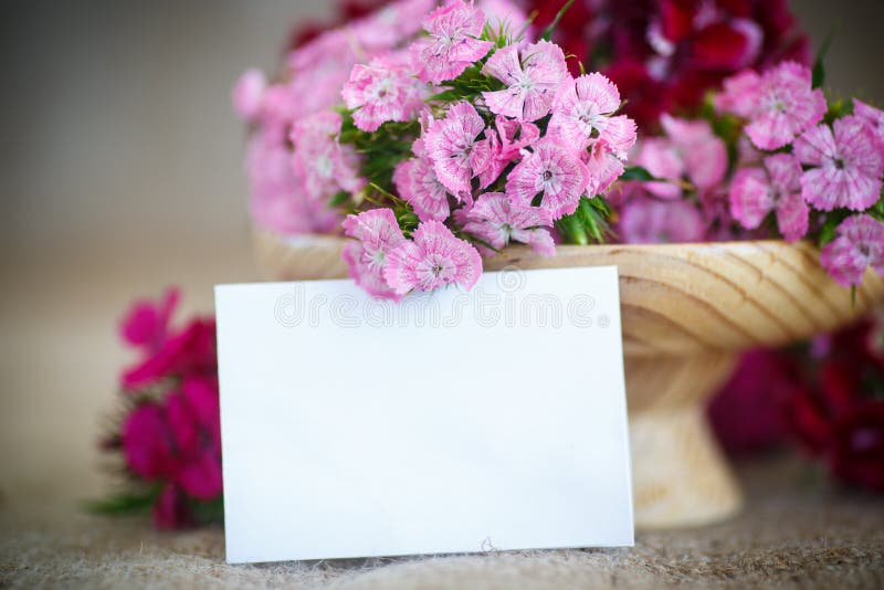 Bright Bouquet of Carnations Stock Image - Image of natural, bloom ...