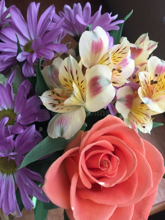 Bright Bouquet of Spring Flowers Stock Image - Image of petals, summer ...