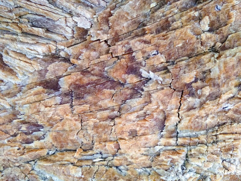 Bright Brown Stone Background. Stone Texture and Background Stock Photo ...