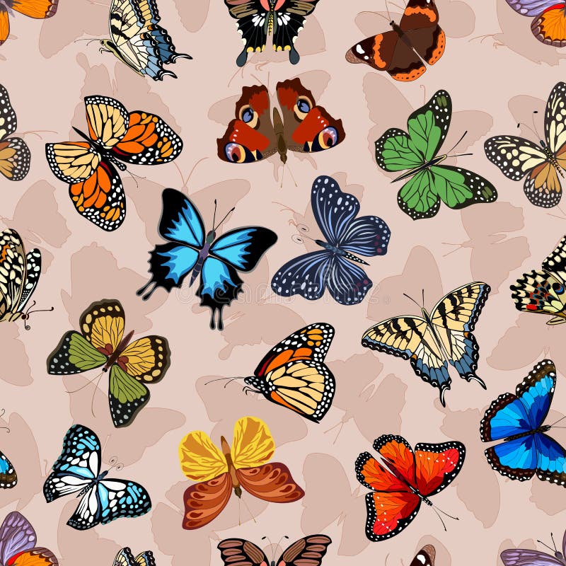 Bright Butterflies in a Colored Pattern. Stock Vector - Illustration of ...