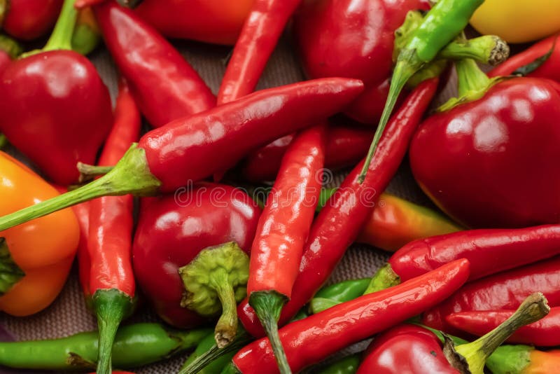 Bright Chili Pods Hot Pepper Red Many Vegetable Asia Pattern Stock ...