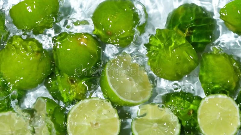 Bright Citrus Background with Limes in Water Slow Motion Stock Video ...