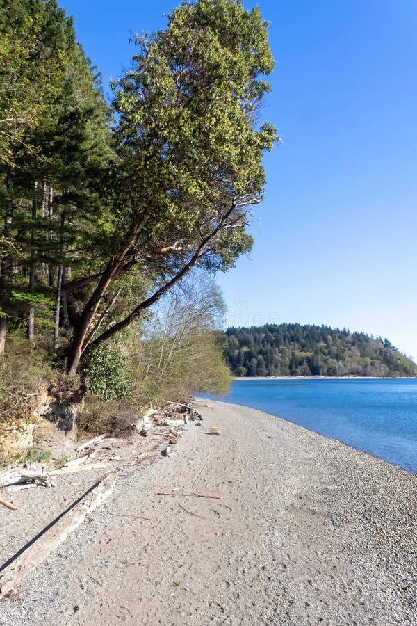Bright Clear Blue Skies Over a Rocky Beach Stock Image - Image of mount ...