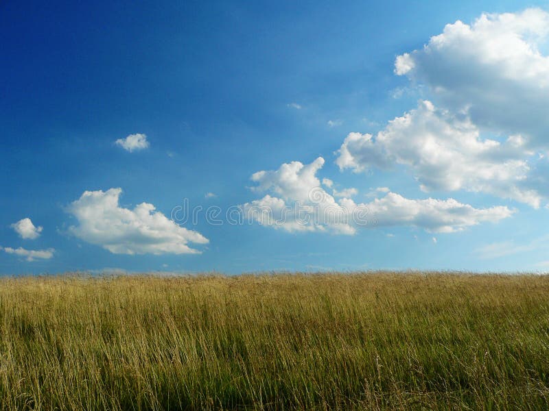 Bright Cloudy Sky and Farm Field Stock Photo - Image of farmland ...