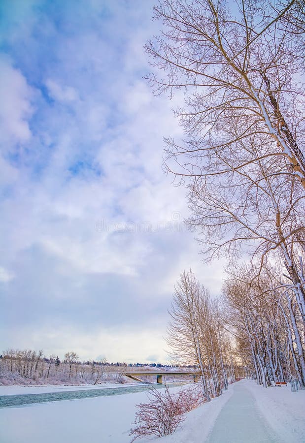 Ice Pathway through a Winter Park Stock Photo - Image of forest, snow ...