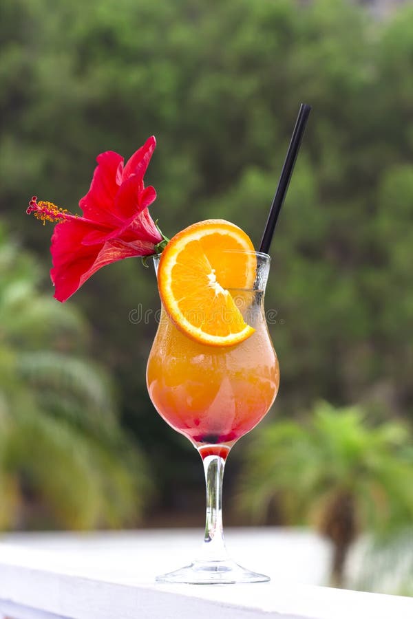 Bright cocktail stock image. Image of party, alcohol - 90887187