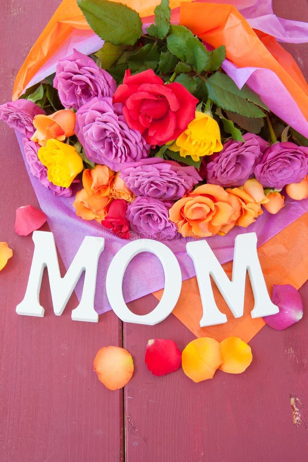 Bright colored roses stock image. Image of pink, blossoms - 75577687