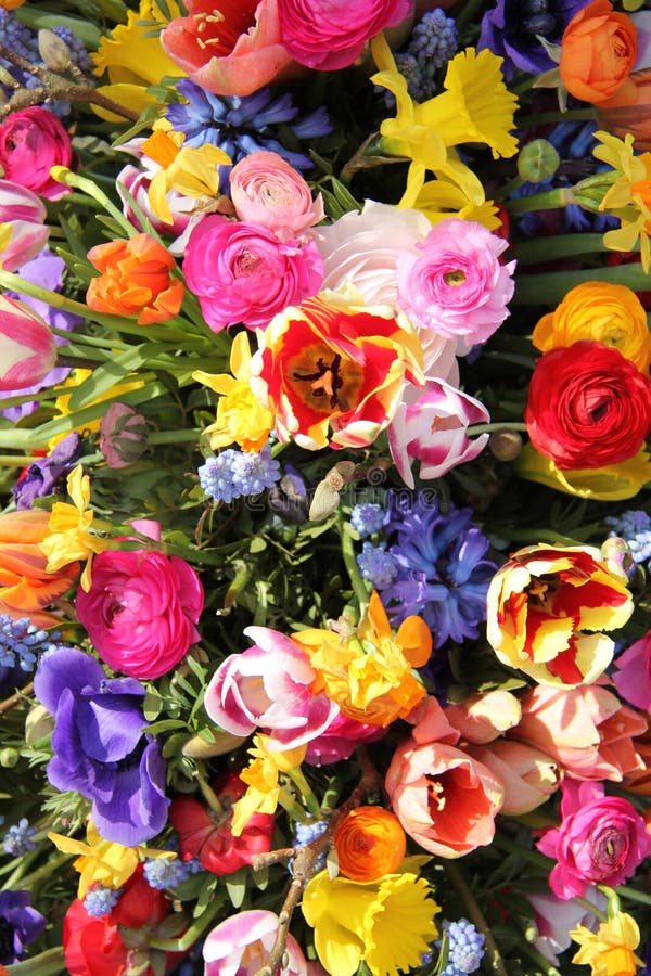 Bright Colored Spring Flower Bouquet Stock Photo - Image of arrangement ...