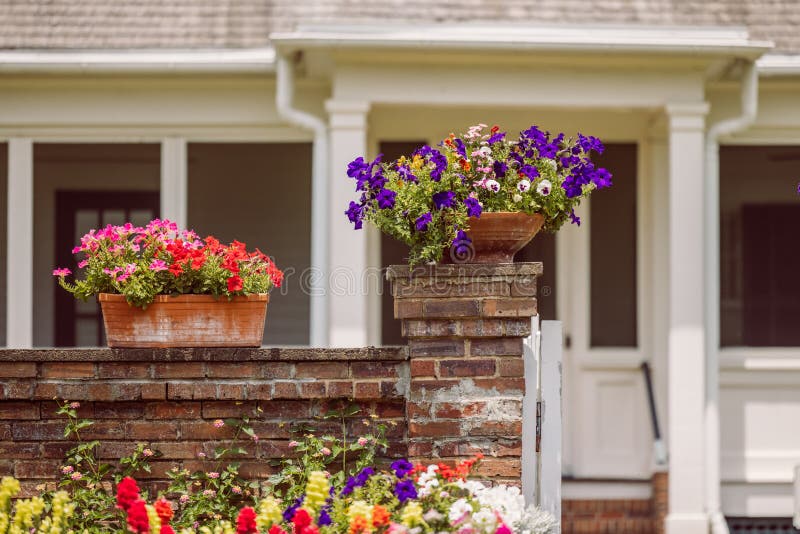 Bright Colored Spring Potted Plants on a Brick Ledge Wall Filled with ...