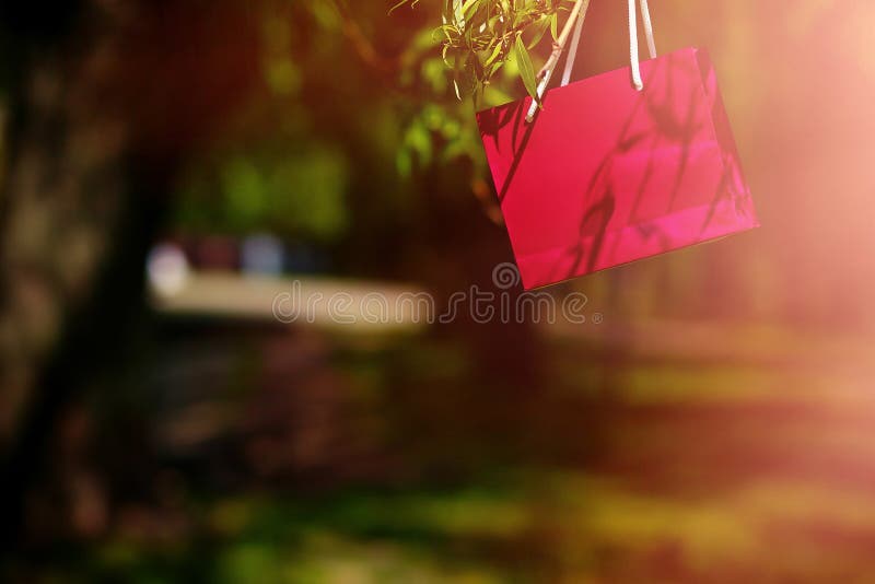 Bright Colorful Red Pink Bag Hanging in the Tree Stock Photo - Image of ...