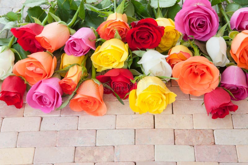 Bright colorful roses stock photo. Image of stone, fathersday - 95208392