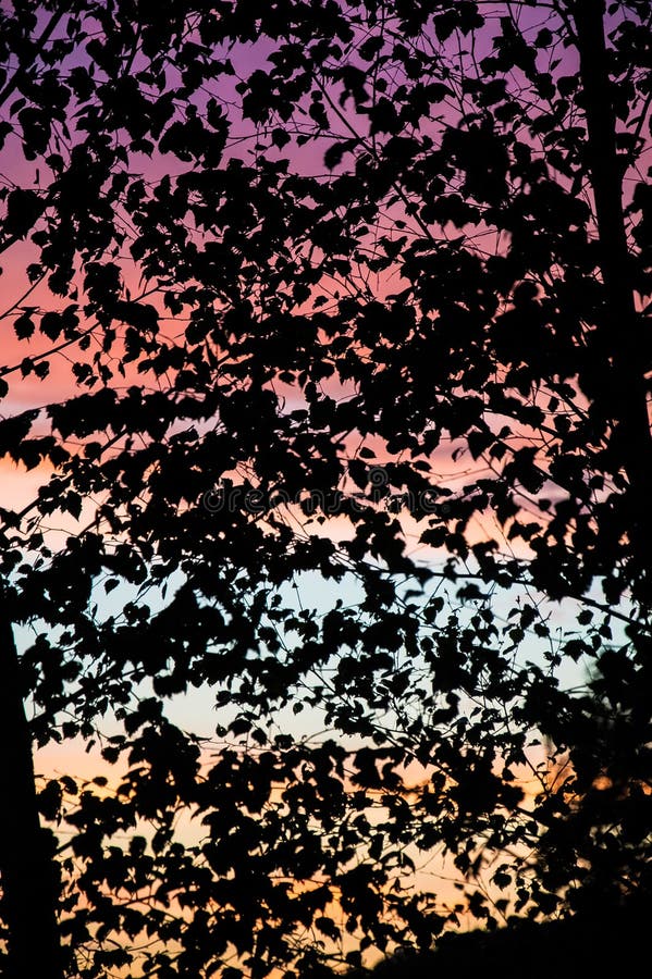 Bright Colorful Summer Sunset. Beautiful Multi-colored Sky. Striped ...