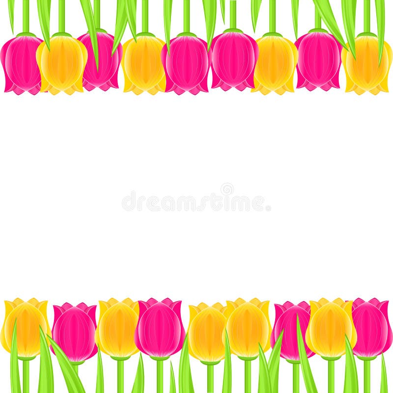 Bright Colorful Tulip Square Frame Stock Vector - Illustration of card ...