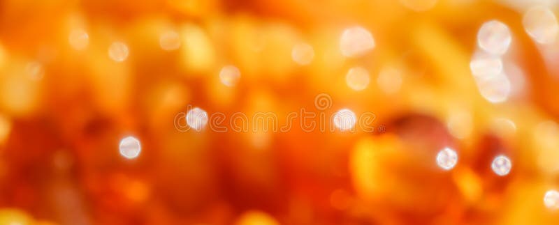 Bright Colors Amber, Sunny Light Shining Background, Blurred the Light ...