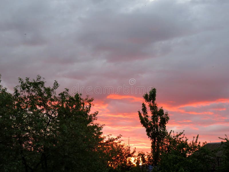 Bright Colors in the Sky in the Evening Stock Photo - Image of evening ...