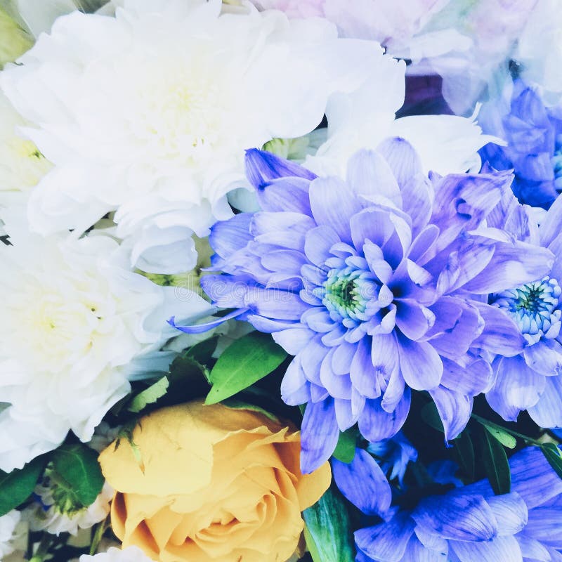 A Bright Colourful Bunch of Flowers Stock Image - Image of flower, blue ...