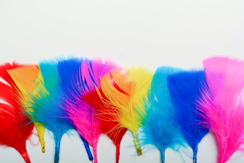 Bright and Colourful Feathers Arranged on a White Background Stock ...