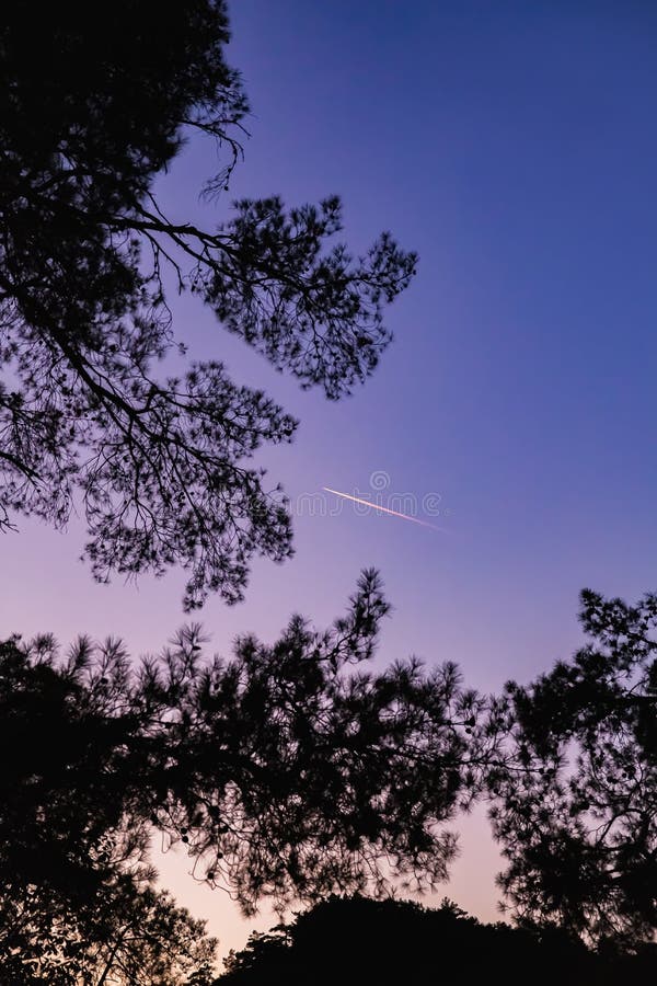 A Bright Comet in the Sky, a Shooting Star. Comet Tail at Sunset ...