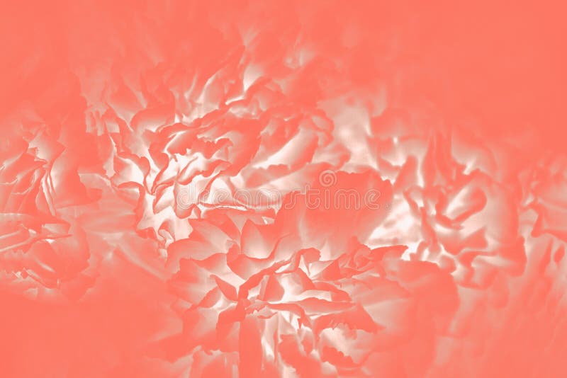 Bright Coral Color with Flower Pattern. Abstract Background Stock Image ...
