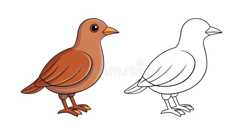 Bright Corncrake Bird Artwork Stock Illustration - Illustration of ...