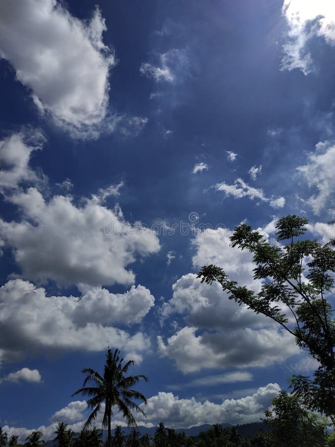 Bright day and cloudy stock photo. Image of morning - 221201978