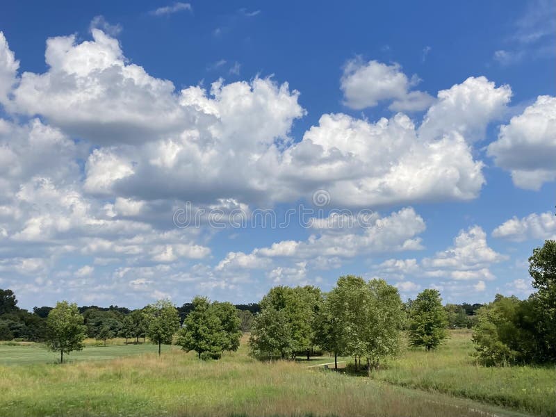 Fields with Sunny Sky Green Trees and White Clouds Stock Photo - Image ...